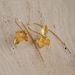 Gold Magnolia Earrings | Silver Flower Drop Earrings - Etsy