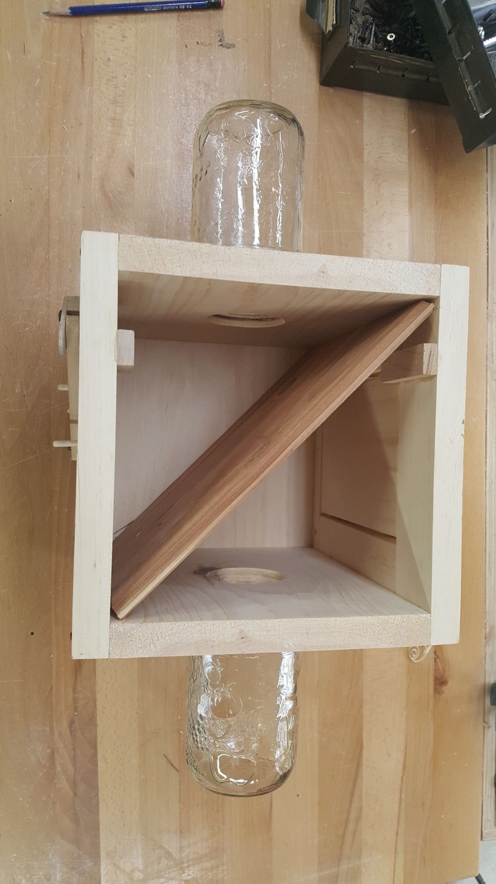 Knobby Nuts Squirrel Feeder Puzzle Plan - Etsy