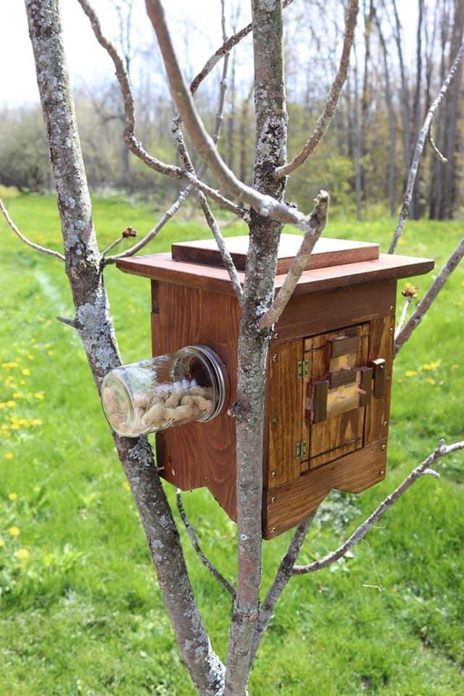 Knobby Nuts Squirrel Feeder Puzzle Plan - Etsy
