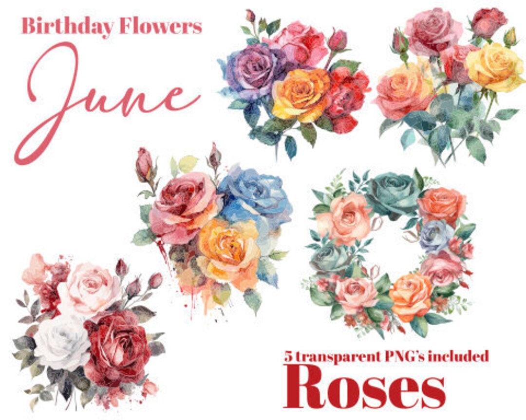 June Birthday Month Flowers Pngs Watercolor Flowers Bundle - Etsy