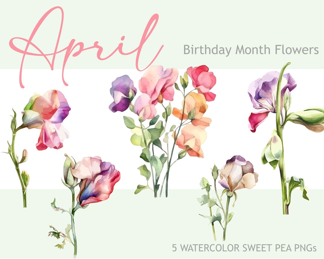 April Birthday Month Flowers Pngs, Watercolor Flowers Clipart Bundle ...