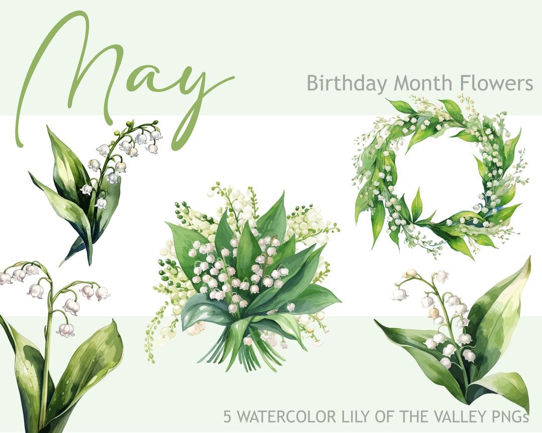 May Birthday Month Flowers Pngs, Watercolor Flowers Clipart Bundle ...
