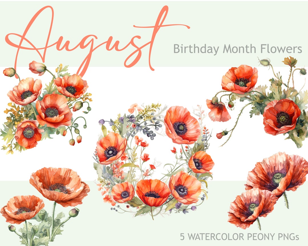 Watercolor Flowers PNG, August Birthday Month Flower Bundle, Peony ...