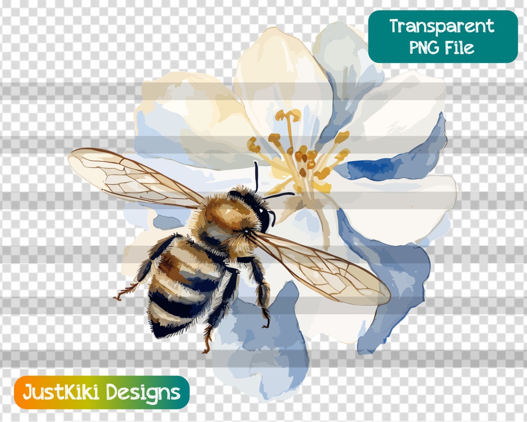 Watercolor Honey Bee Clipart: Floral Spring PNG (digital Download) - Etsy