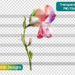 April Birthday Month Flowers Pngs, Watercolor Flowers Clipart Bundle ...