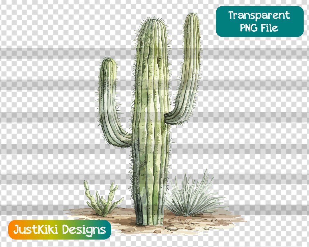 Watercolor Saguaro Cactus PNG Desert Clipart Western - Etsy