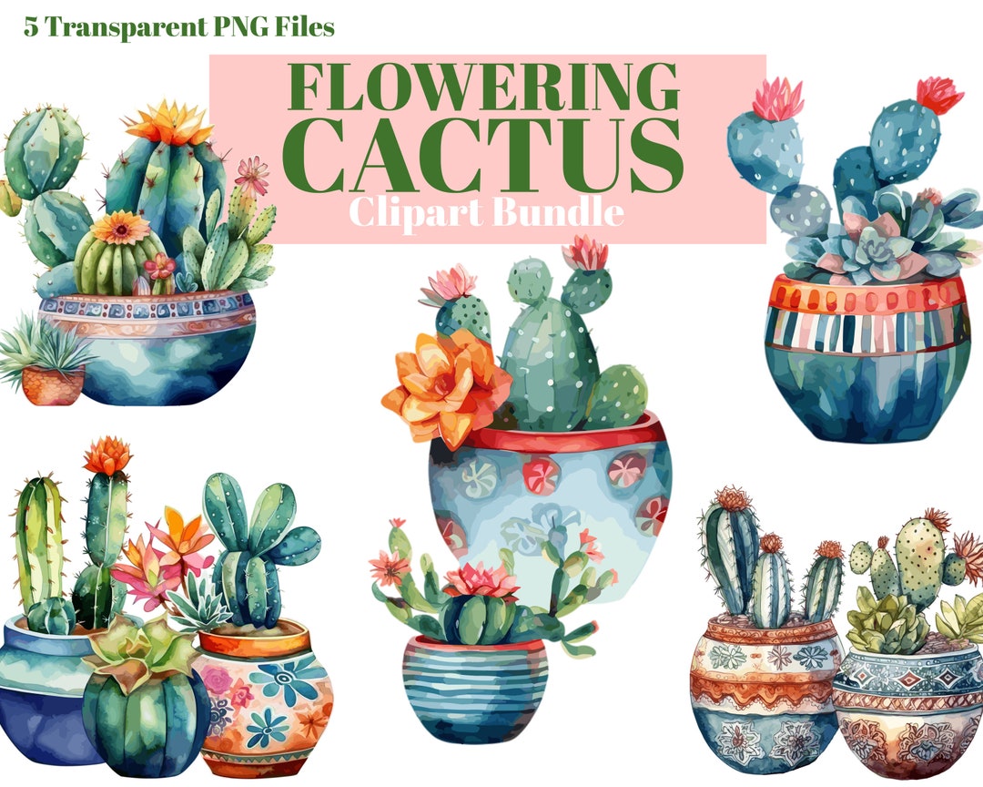 Flowering Cactus Clipart Bundle, Includes 5 Transparent PNG Designs ...