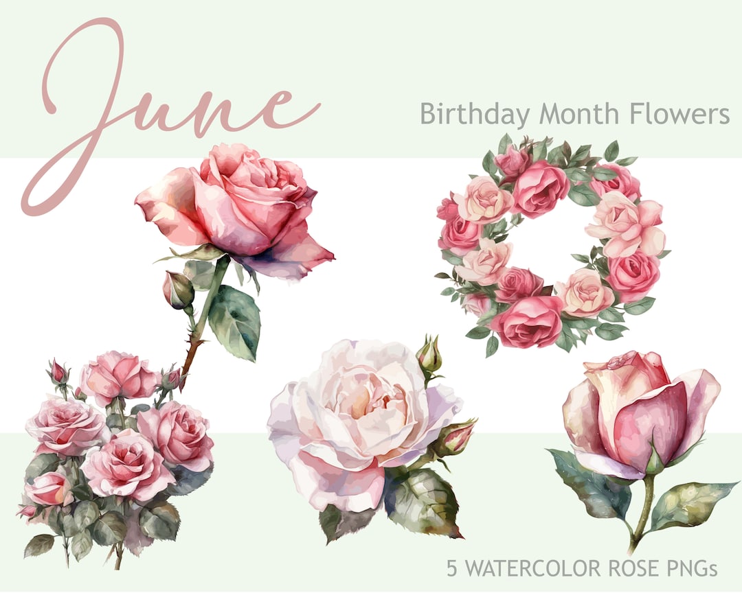 June Birthday Month Flowers Pngs Watercolor Flowers Bundle - Etsy