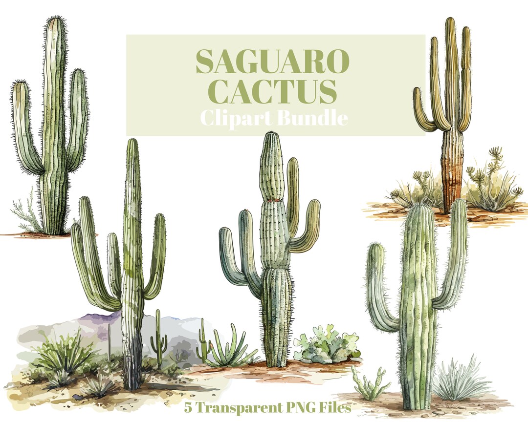 Saguaro Cactus Clipart Bundle, Southwest Desert Clip Art, BOHO Western ...
