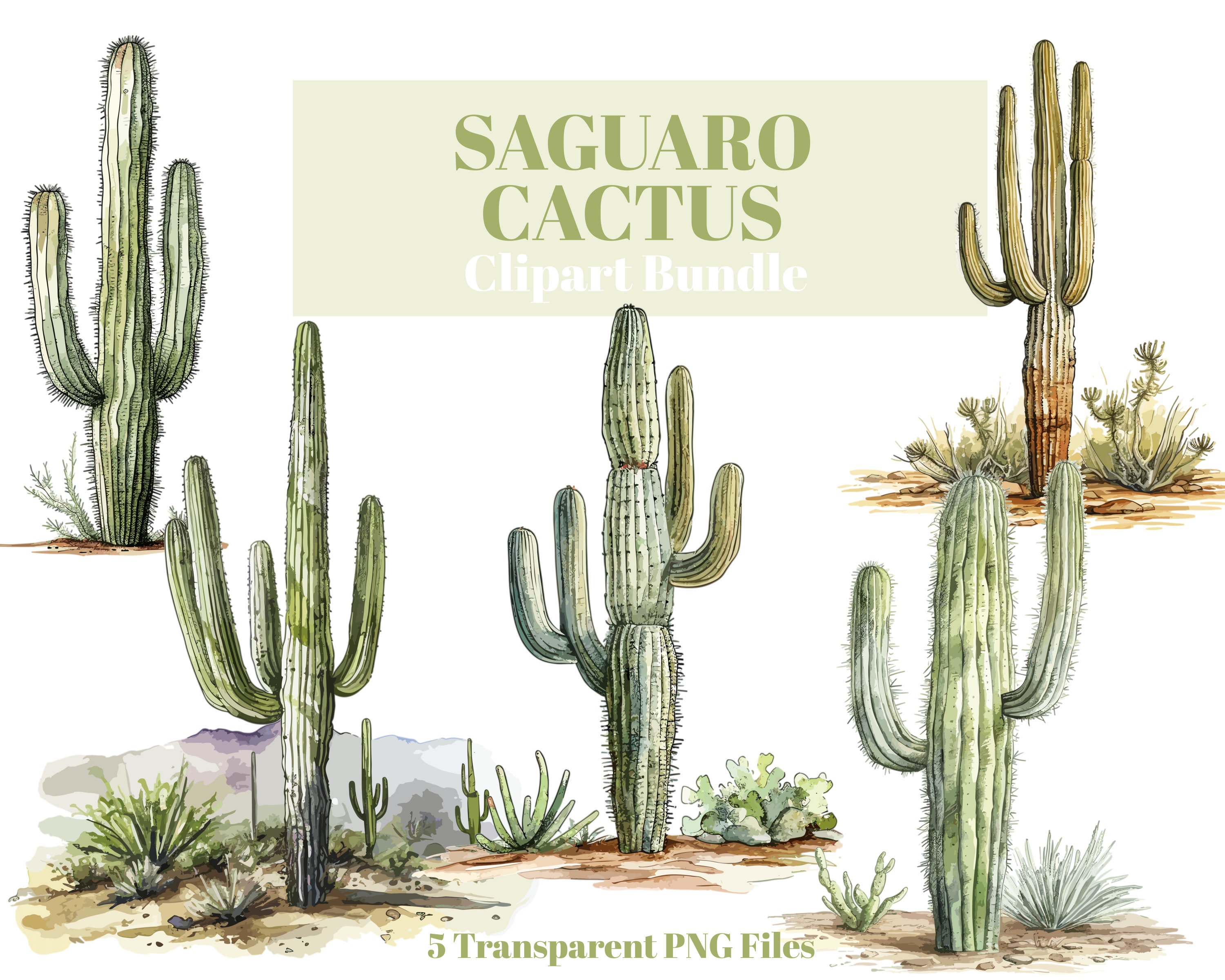 Saguaro Cactus Clip Art