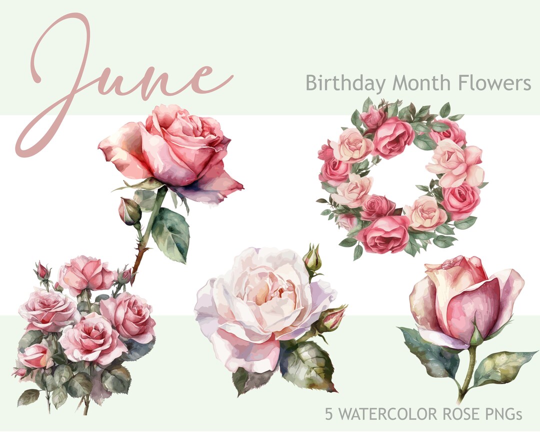 June Birthday Month Flowers Pngs, Watercolor Flowers Clipart Bundle ...