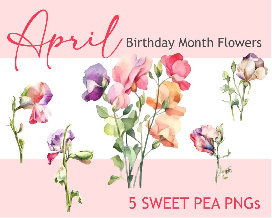 April Birthday Month Flowers Pngs Watercolor Flowers Clipart - Etsy