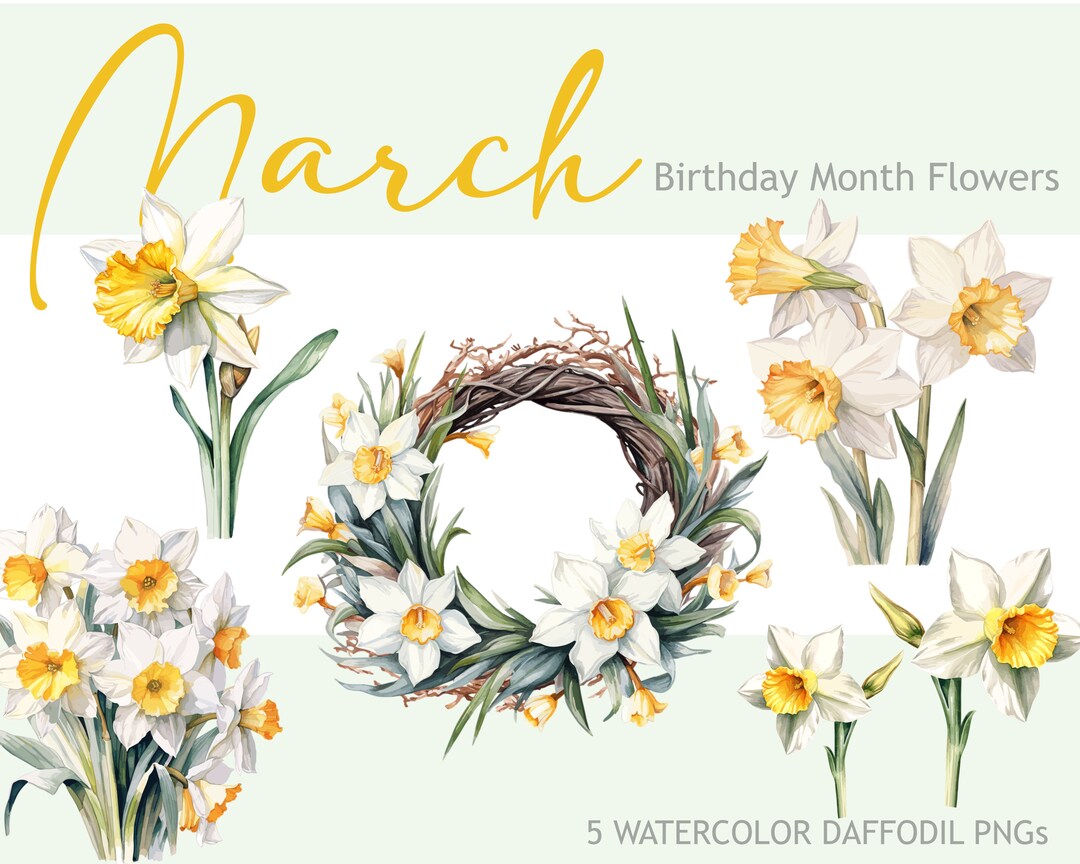 March Birthday Month Flower Bundle, Watercolor Flowers PNG Bundle ...
