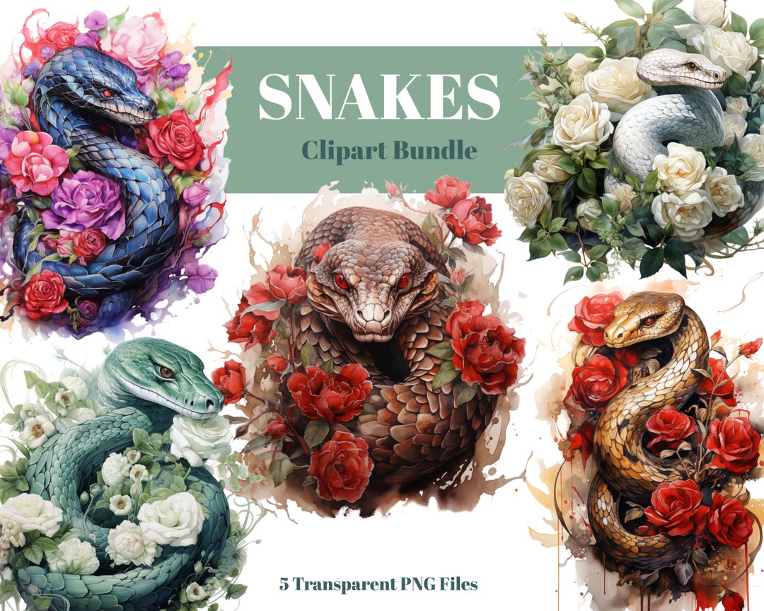 Colorful Snakes & Flowers Clipart Bundle, Downloadable Sublimation PNG ...