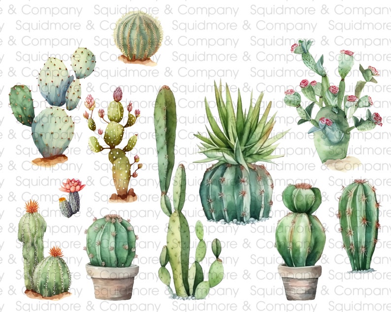 Succulent Cactus PNGS Desert Watercolor Clipart Bundle - Etsy