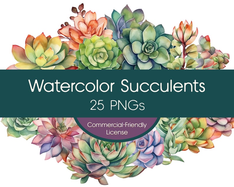 Watercolor Succulent Clipart // Transparent Pngs // Commercial License ...