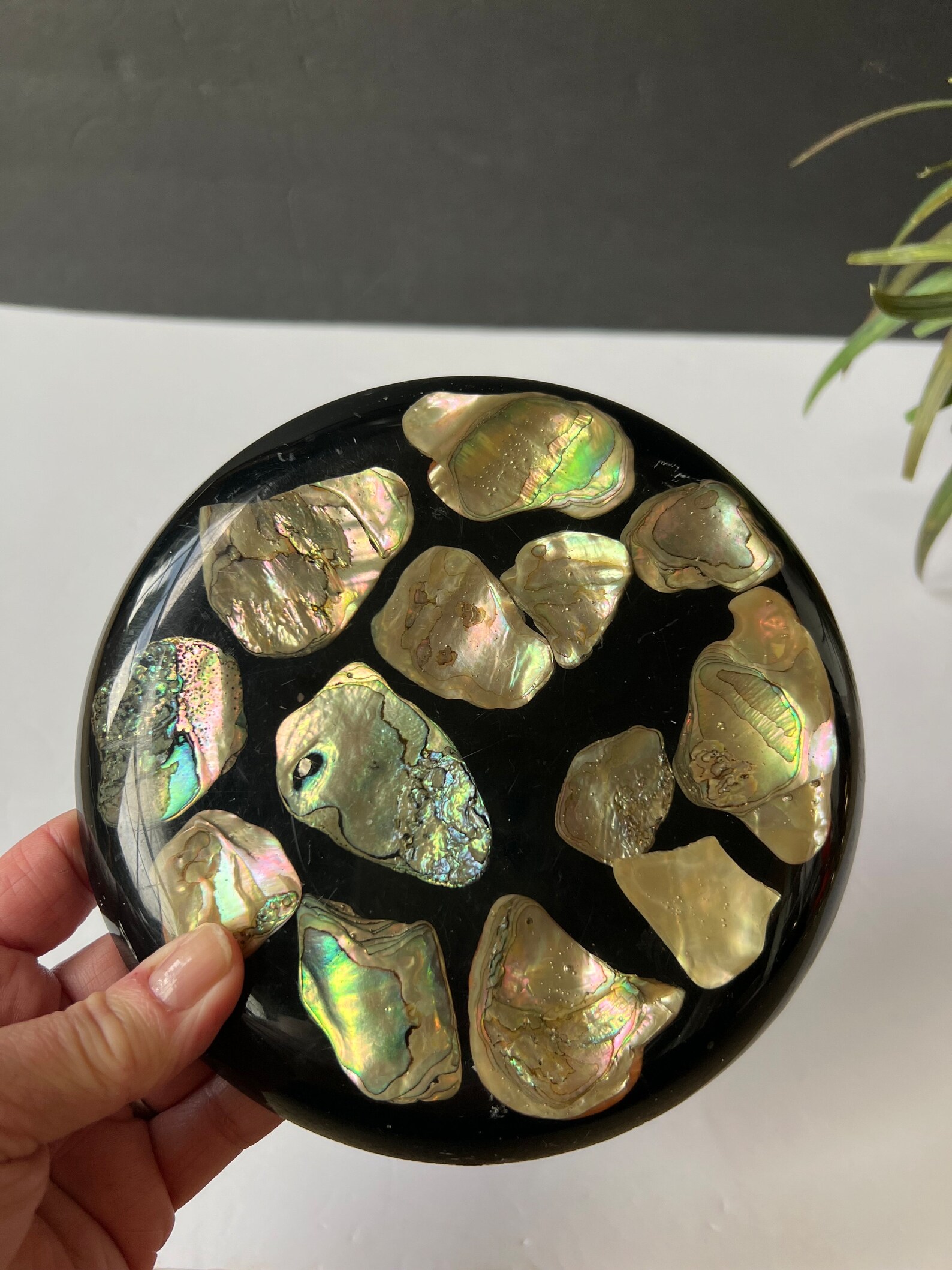 Shell Trivet Hot Plate Lucite Resin Abalone Sea Shell Design Vintage ...