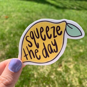 Squeeze the Day Lemon Sticker / Lemonade in Mason Jar Sticker - Etsy