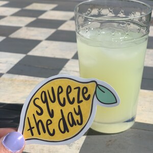 Squeeze the Day Lemon Sticker / Lemonade in Mason Jar Sticker - Etsy