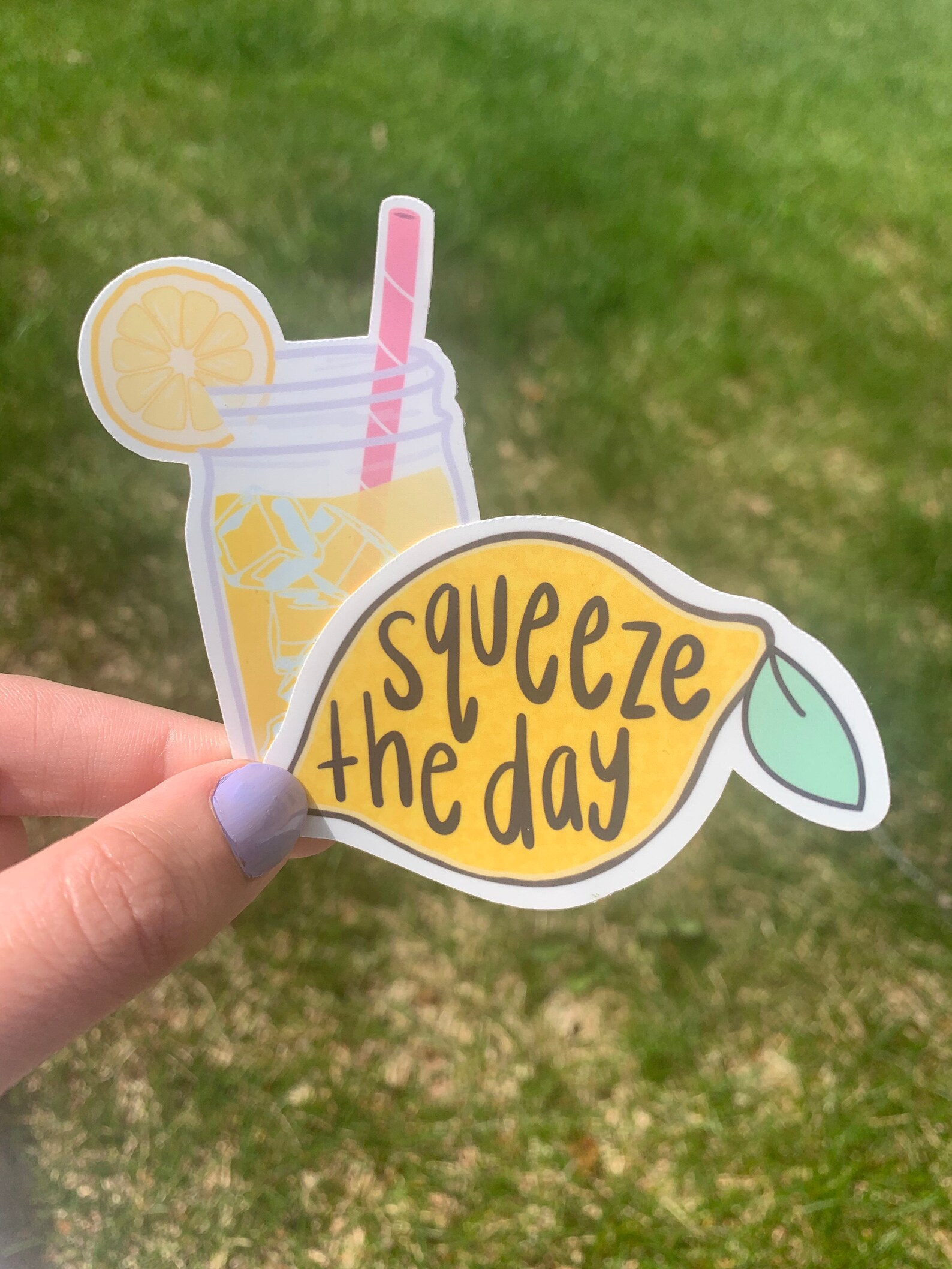 Squeeze the Day Lemon Sticker / Lemonade in Mason Jar Sticker - Etsy