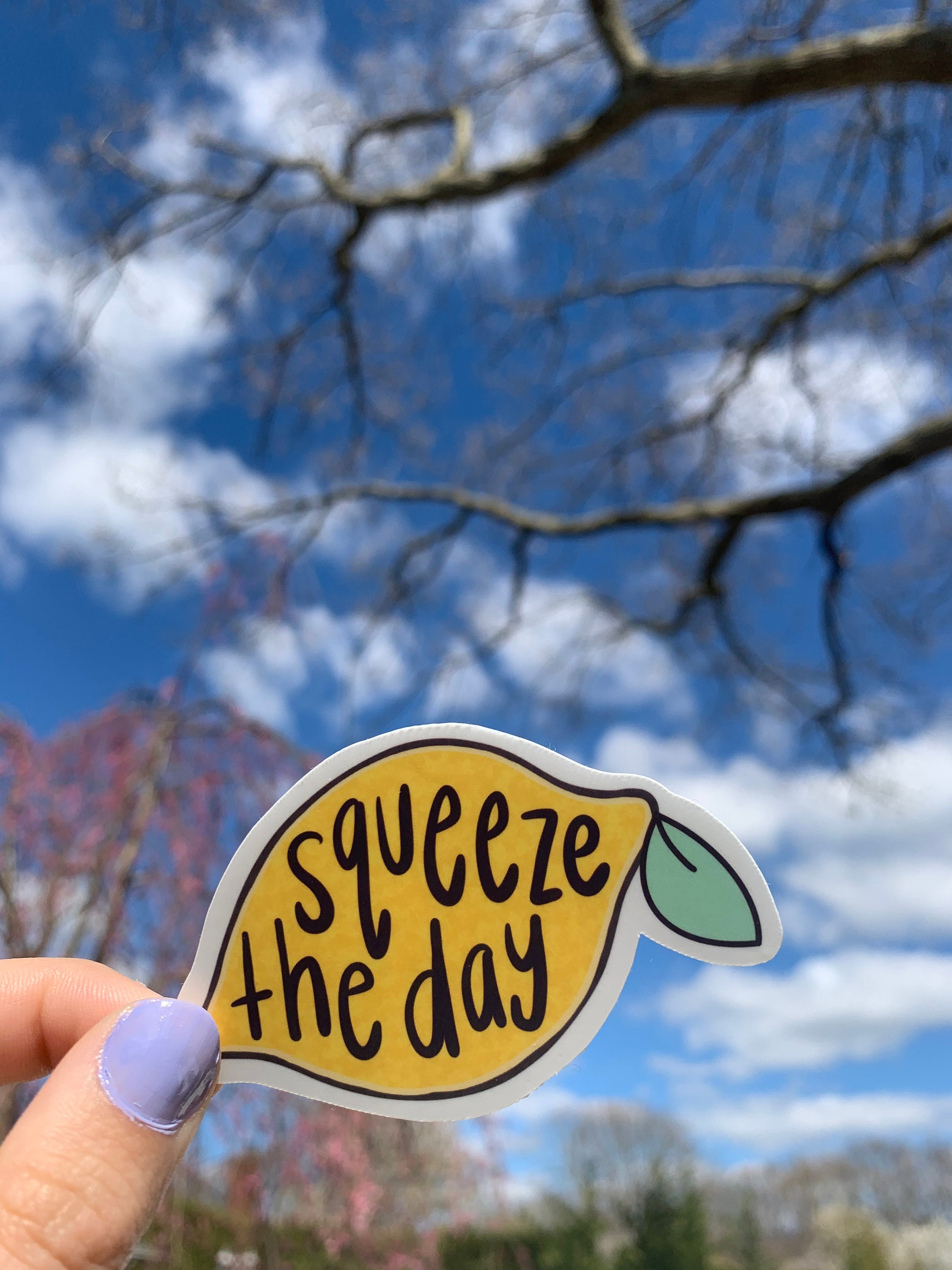 Squeeze the Day Lemon Sticker / Lemonade in Mason Jar Sticker | Etsy