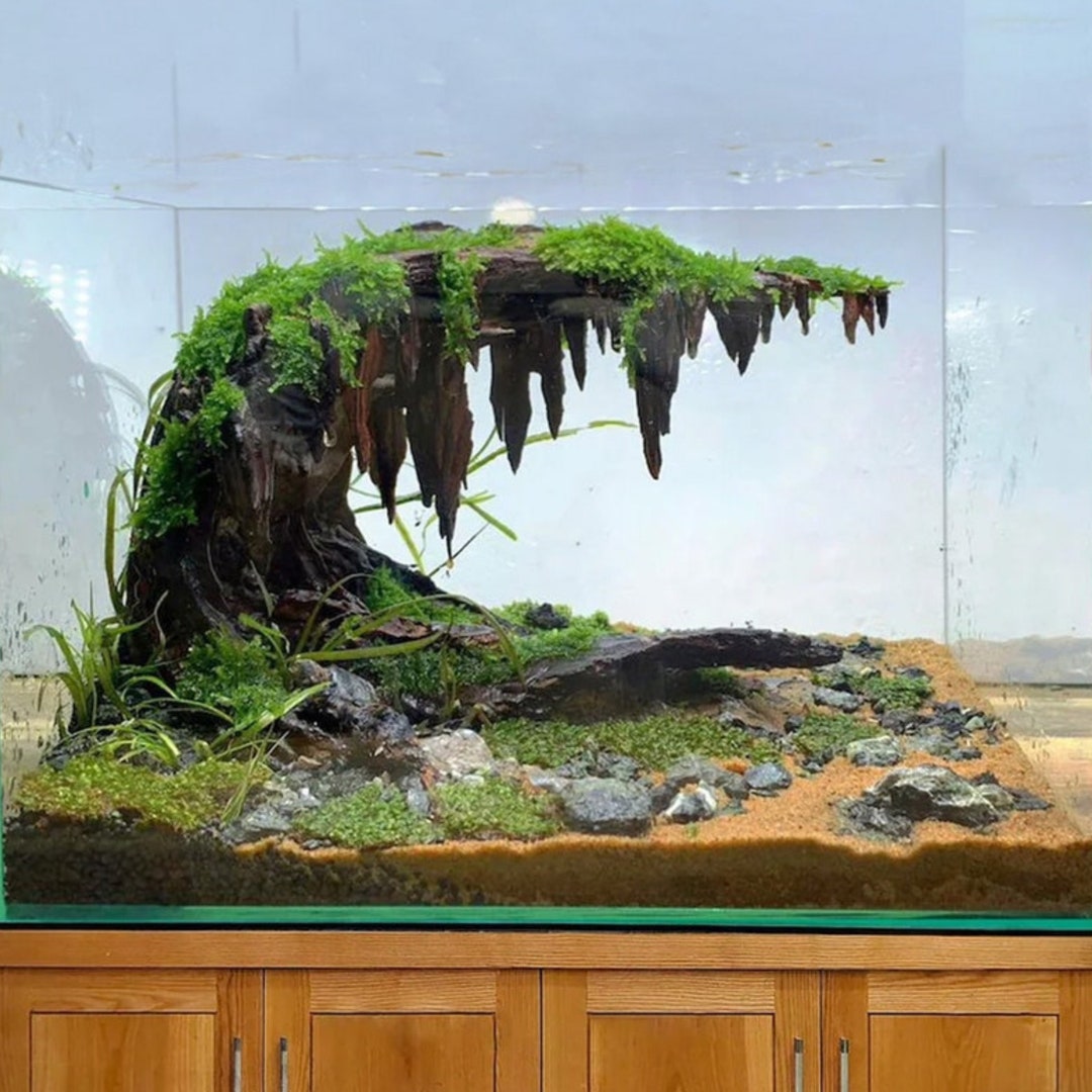 Bonsai Sculpture Aquarium Driftwood Aquascape Decor Real Drift Wood for ...