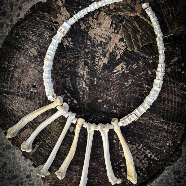 Fish Vertebrae Beads - Etsy