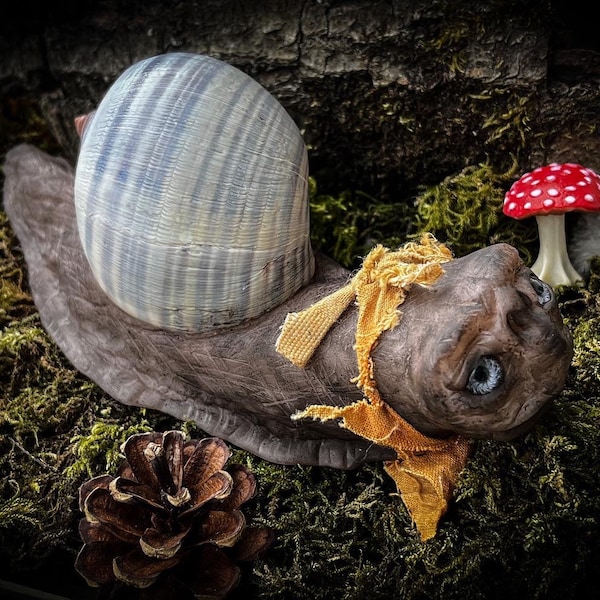 Apple Snail Shell - Etsy