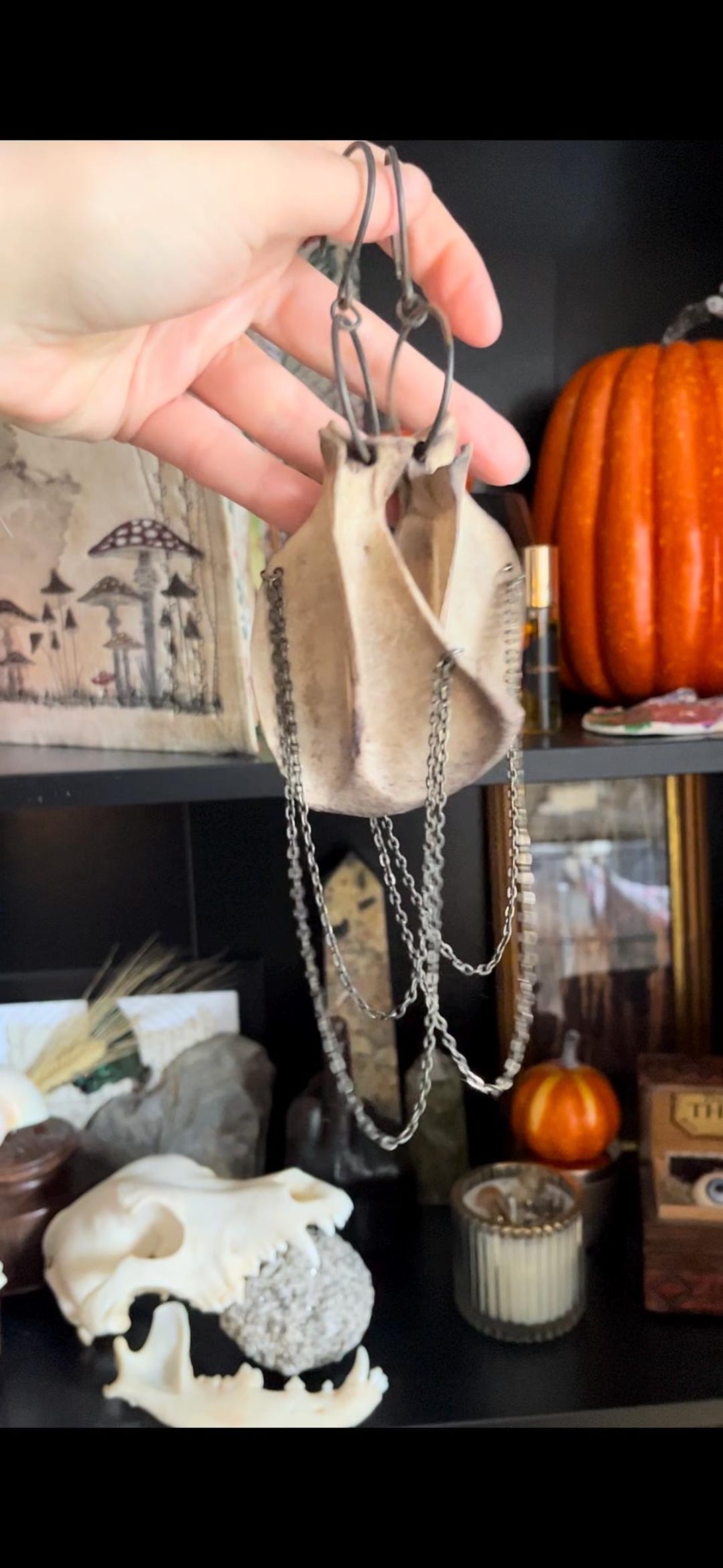 Dog Scapula Shoulder Blade Real Bone Ear Hangers Weights With Iron and ...