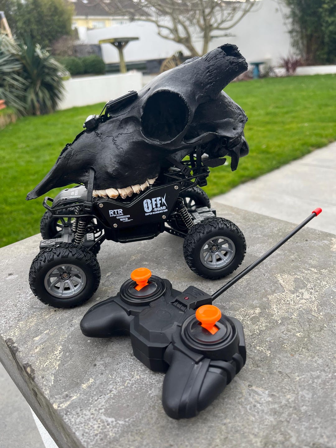 1:16 4WD RC Black Ewe Skull Bone Race Car Radio Control Car 2.4g Buggy ...