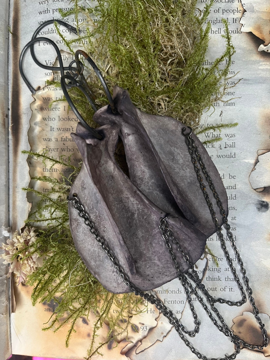 Dog Scapula Shoulder Blade Real Bone Ear Hangers Weights With Iron and ...