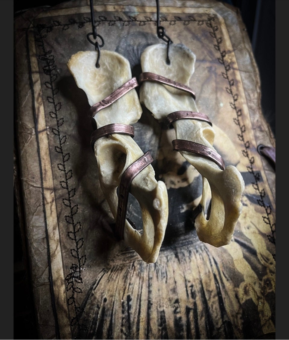 Volva Statement Badger Pelvis Bone and Copper Ear Hangers Witchy ...