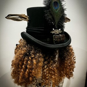 1 Taxidermy Rabbit Ears Black Top Hat Size 59cm - Etsy