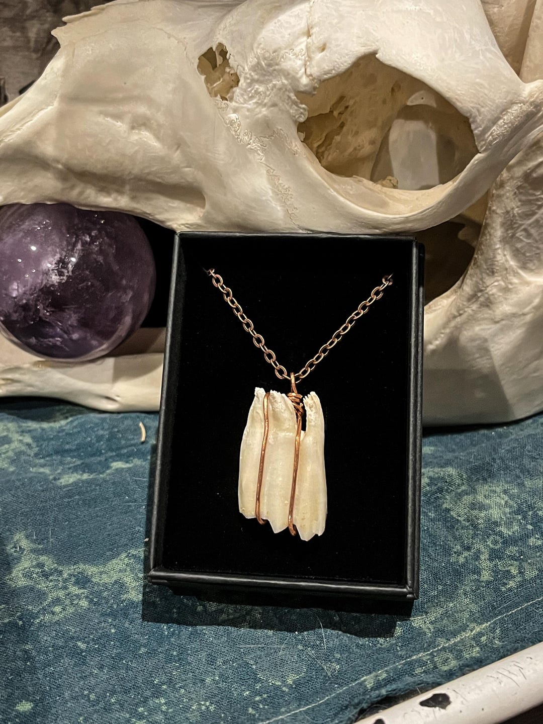 Spiritual Deer Tooth Talisman Amulet Necklace Spooky Eerie Goth Oddity ...