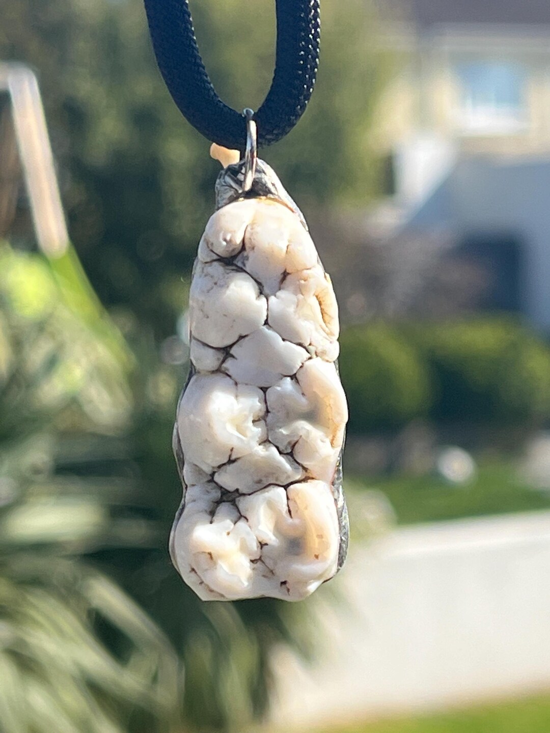 Spiritual Fossil Molar Tooth Talisman Amulet Necklace Shamanic Oddity ...