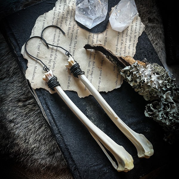 Deer Leg Bone - Etsy