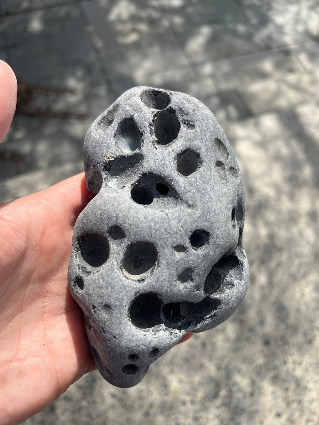 Large Magical Ancient Irish Hag Stone Powerful Protection Witch Pagan ...