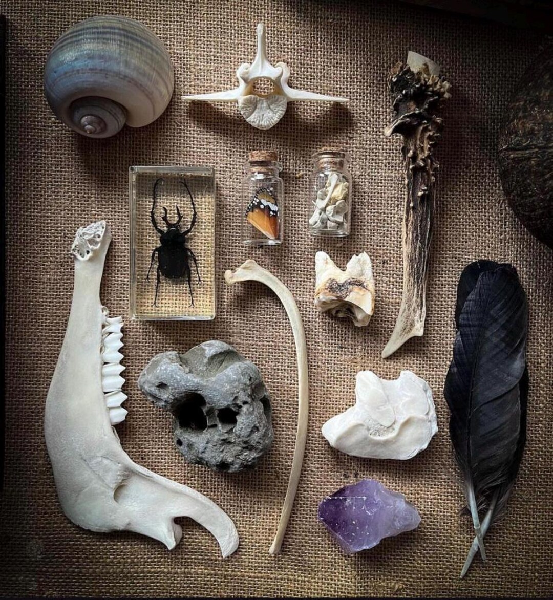 Made to Order 6 Piece Mystery Witch Pagan Bone and Crystal Giftbox ...
