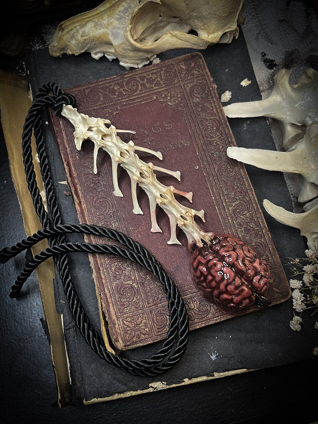 Roadkill Brain and Rabbit Spine Vertebrae Bones Talisman Necklace Post ...