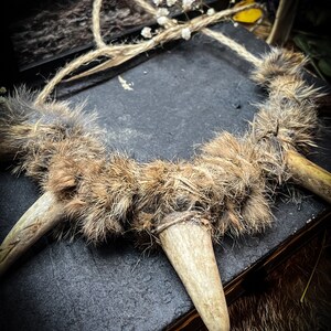 Flidais Deer Antler Tines Tips and Real Rabbit Fur Necklace Celtic ...