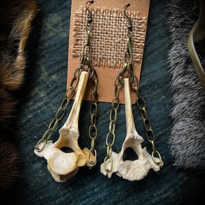 Fawn Vertebrae Bone and Brass Chain Earrings Cruelty Free Witchy ...