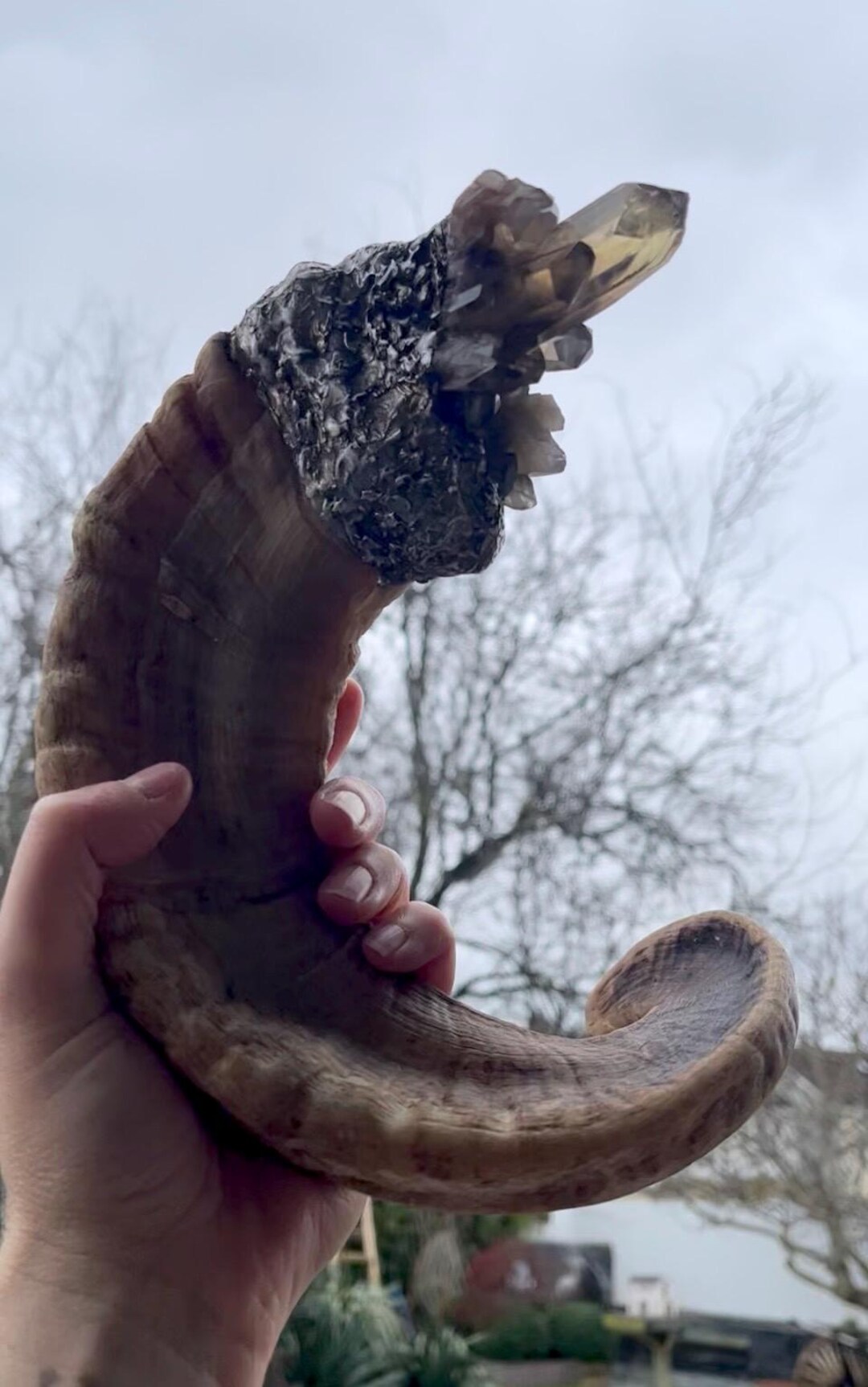 Large Soldered Curly Ram With Crystal Quartz Geode Filling Alter ...