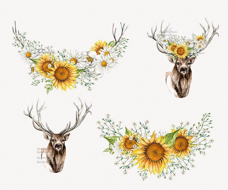 Visual Arts Sunflowers Bouquet Clipart Floral Deer Antlers Clipart ...