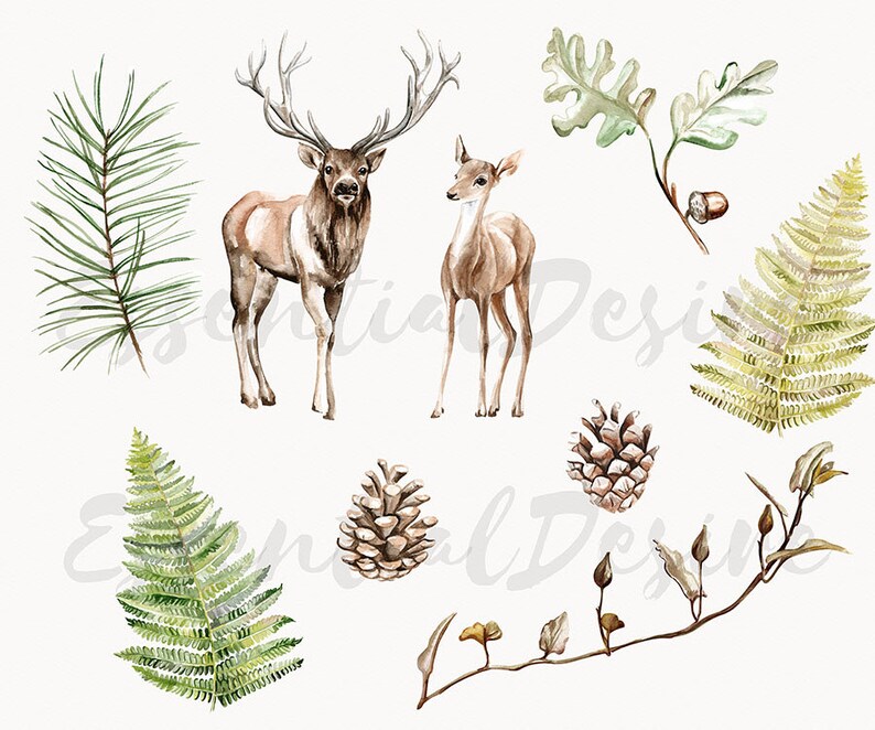 Deer Clipart Watercolor Antlers Clipart Watercolor Reindeer | Etsy