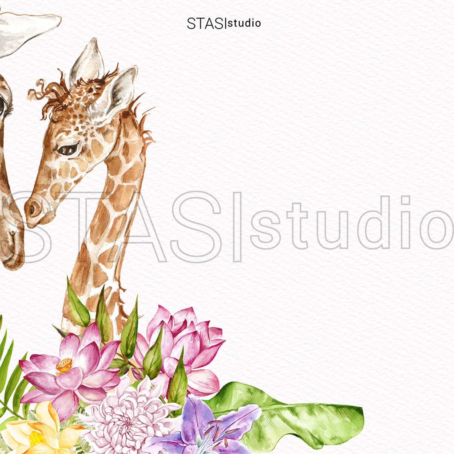 Cute Giraffes Watercolor Clipart Baby Giraffe African Wild | Etsy