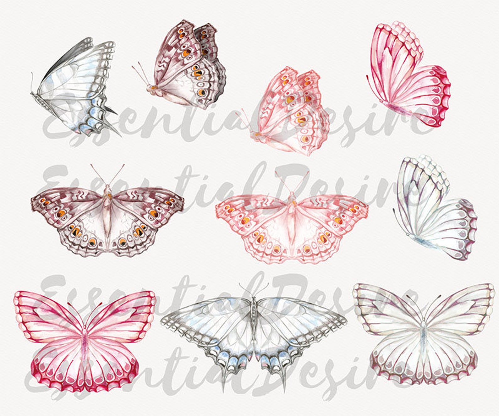Butterfly Watercolor Clipart Digital Butterfly Clip Art - Etsy