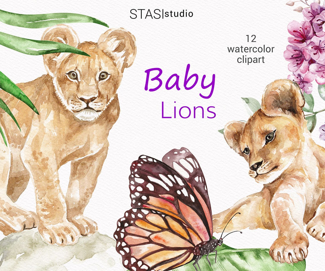 Lions Watercolor Clipart Baby Lions Cute Animals Nursery - Etsy