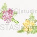 Tropical Bouquets Clipart, Pink Yellow Flowers Watercolor Wreath ...