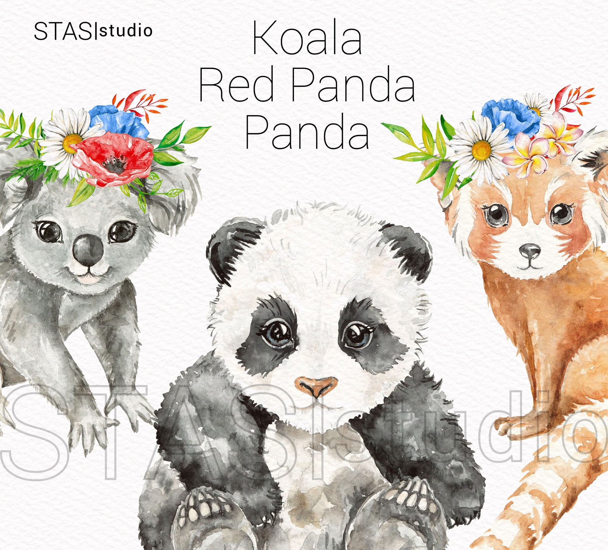 Cute Panda Koala Red Panda Watercolor Illustration Litle - Etsy