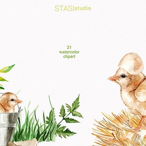 Easter Watercolor Clipart Cute Chicks Floral Chick Illustration Spring ...